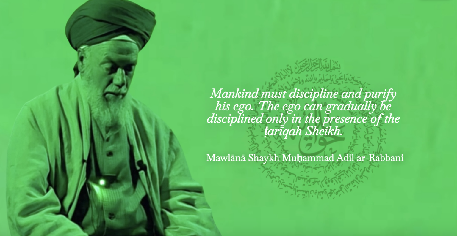 Home - Mawlana Sultan
